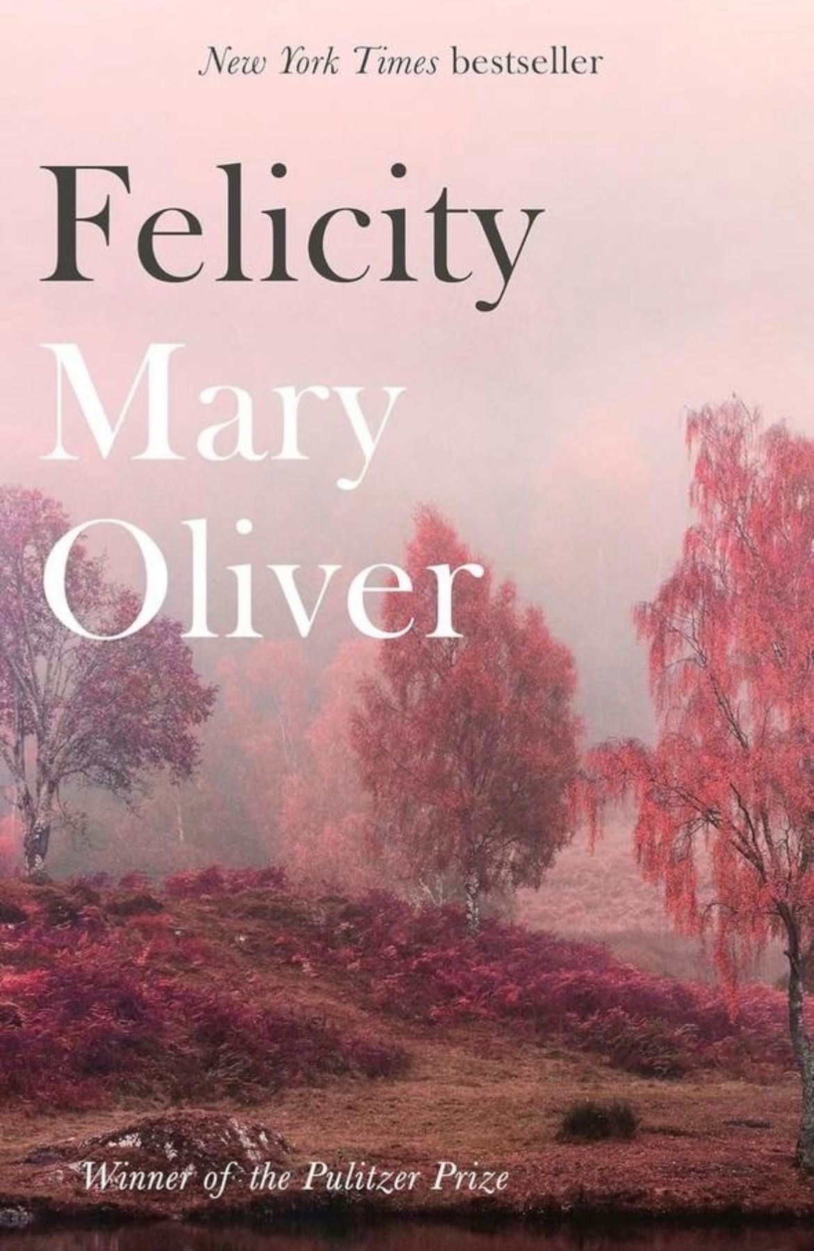 Купити Felicity Mary Oliver 005114 в інтернет магазині Bookbuyer